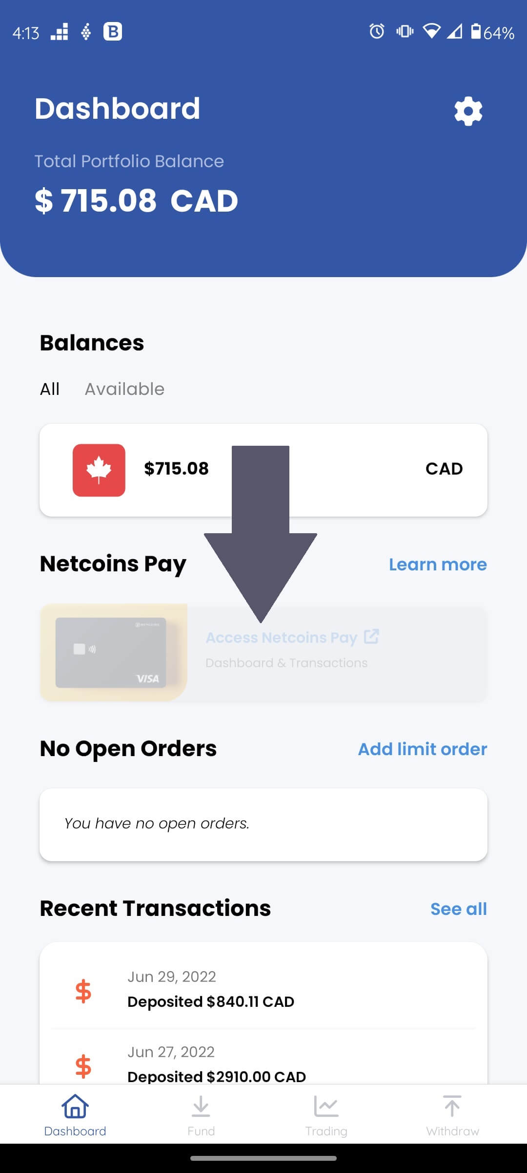 Netcoins Pay - Visa Card Review: My Experience (2022 Canada)